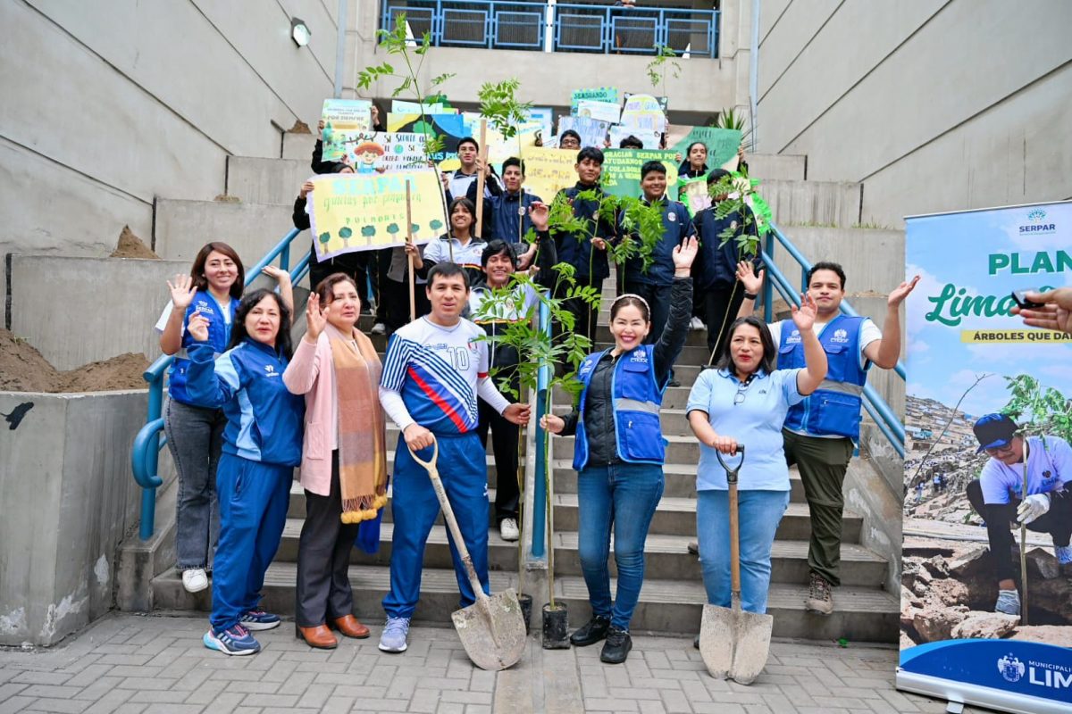 Lima Verde: Más de 185 000 árboles plantados | SERPAR - Servicio de ...